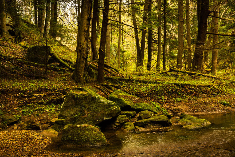 History - Appalachia Ohio Alliance